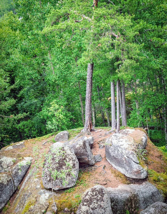 Rocks Overgrown with Mixed Dense Forest. Large Boulders As Traces of ...