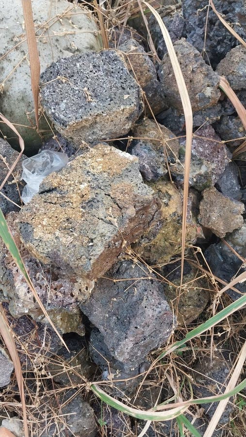 Rocks Overgrown with Wild Plants Stock Photo - Image of rocks, plants ...