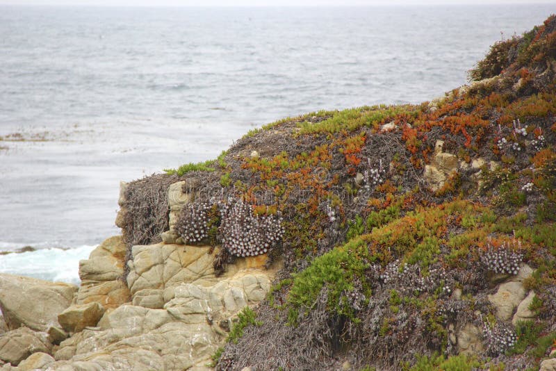 Rocks pacific coast stock photo. Image of orange, saltwater - 43618306