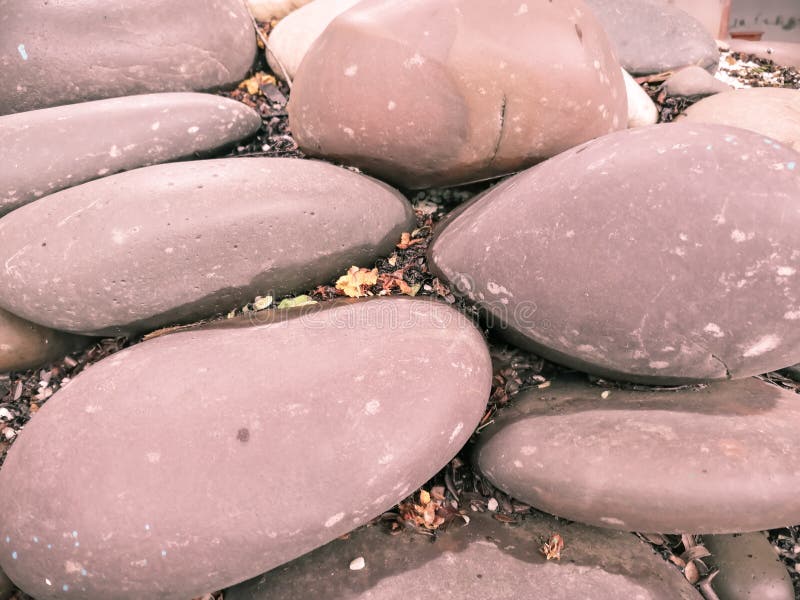 Gardensmooth Stock Photos - Free & Royalty-Free Stock Photos from ...