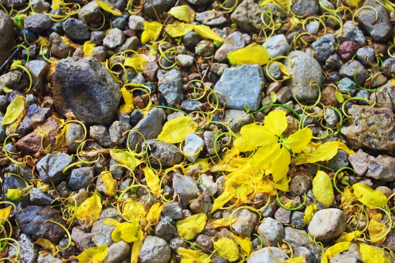 Rocks and pebbles stock image. Image of textured, garden - 30457949