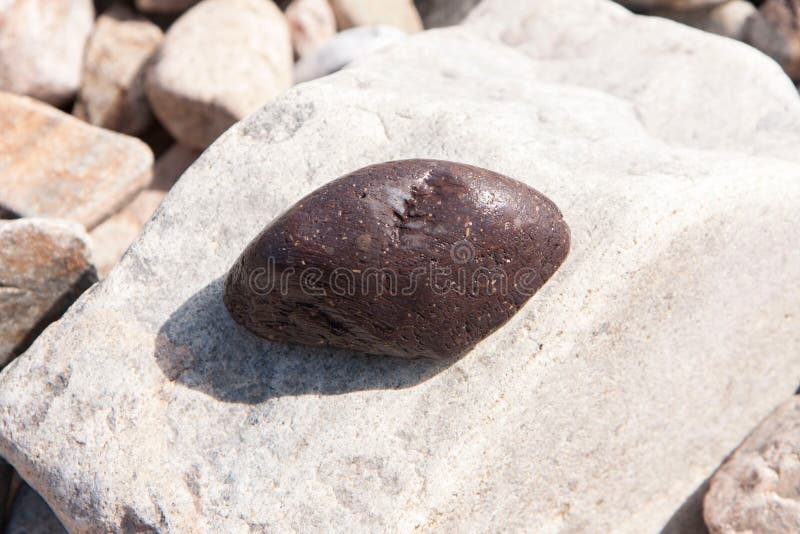 Rocks and Pebbles on the Shore in the Water, Various Colors and ...