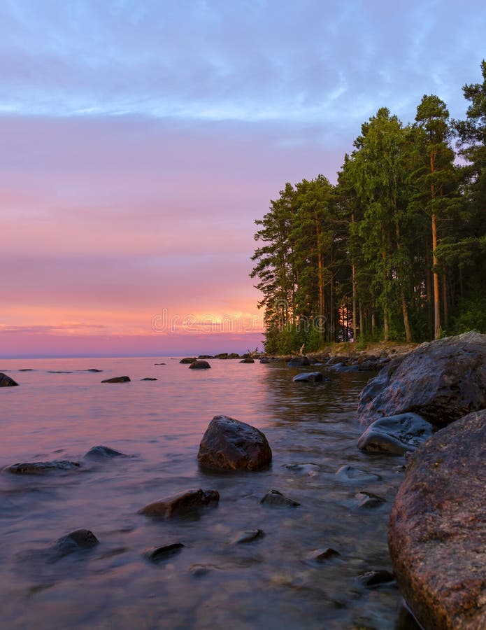 Rocks and Pine Trees on the Lake Shore at Sunset Stock Photo - Image of ...