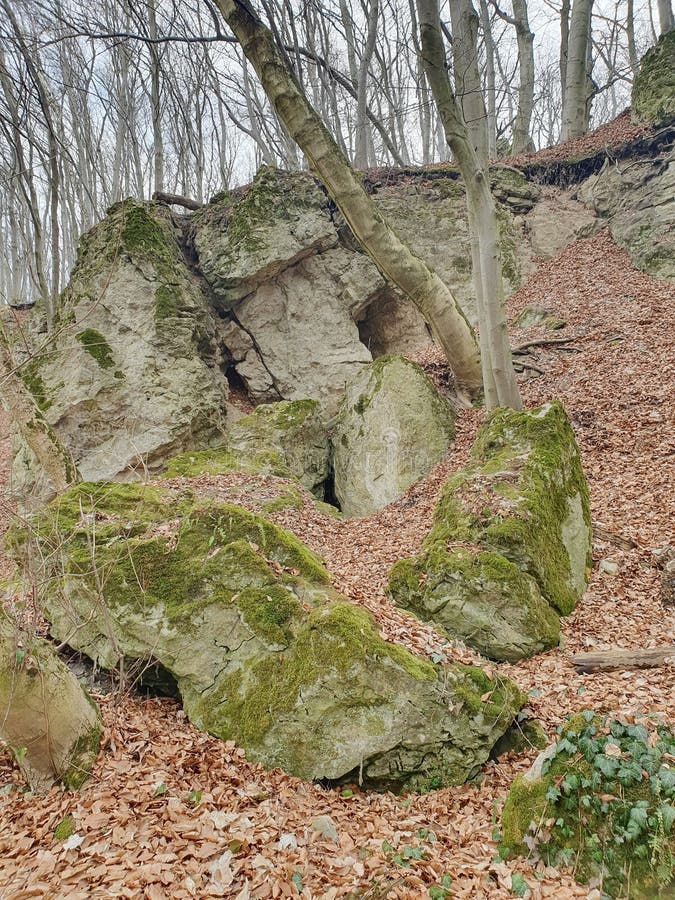 Rocks that Stand Out in the Middle of a Dense Forest Stock Image ...