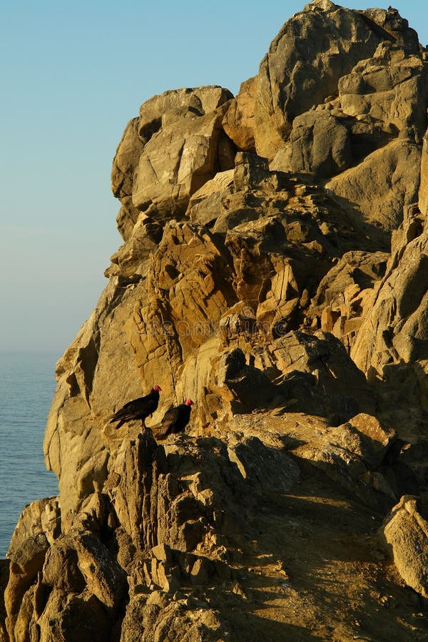 Rocks of Puerto Inca stock photo. Image of peru, coast - 128585758