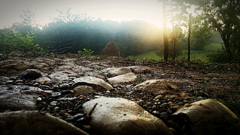 Rocks after the rain stock photo. Image of rain, setting - 114481892
