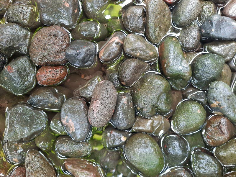 Rocks rain soaked stock photo. Image of colorful, nature - 360113378