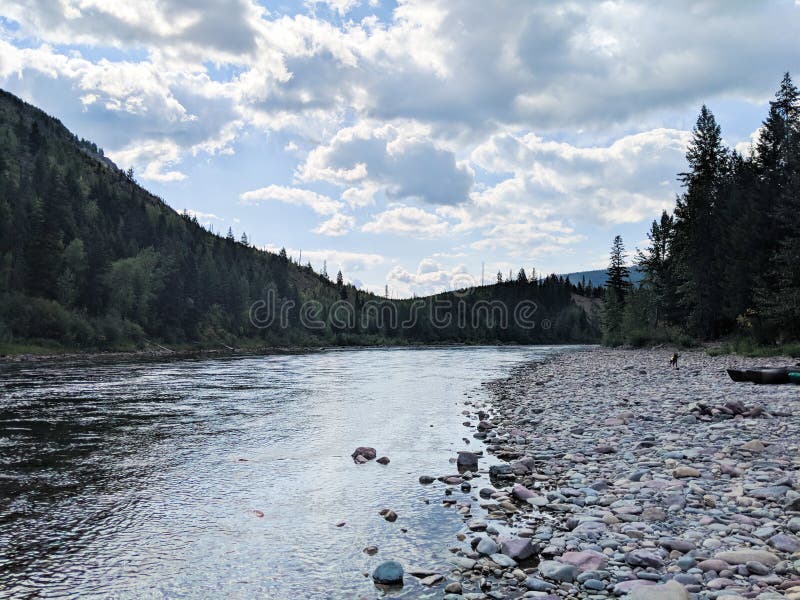 Mountain river stock photo. Image of tree, sight, trees - 179450724