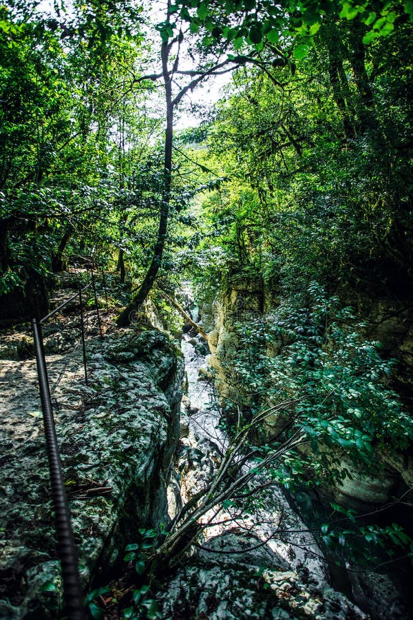 Deep Dark Forest River Stream Landscape. Rocks River Stock Photo ...