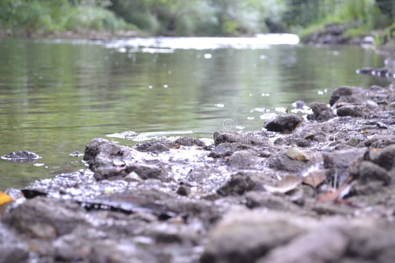 Rocks on river stock image. Image of grass, rocks, nice - 107375797