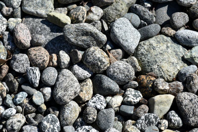 650 Shiny River Rocks Stone Background Stock Photos - Free & Royalty ...