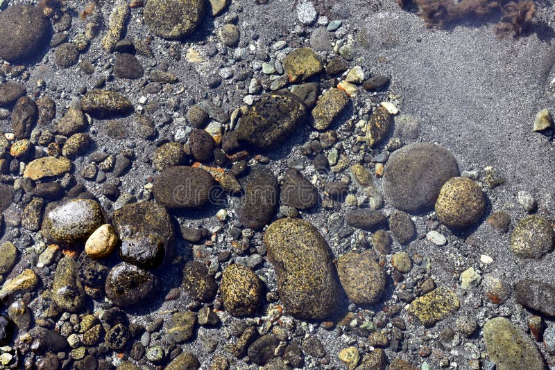 650 Shiny River Rocks Stone Background Stock Photos - Free & Royalty ...