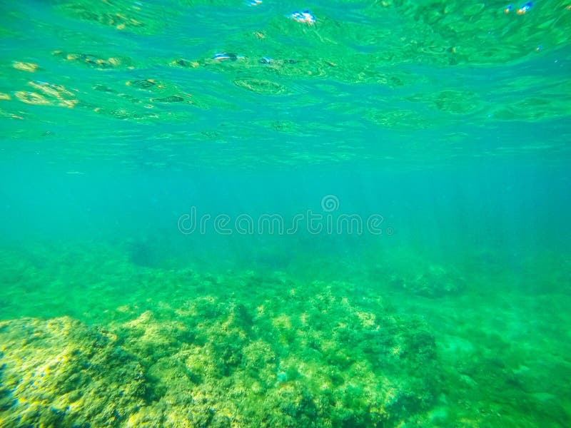 Rocks and Sand in Alghero Seabed Stock Photo - Image of marine, diving ...