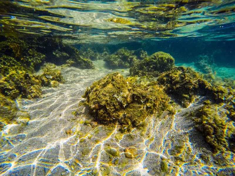 Rocks and Sand Underwater in Sardinia Stock Photo - Image of alghero ...