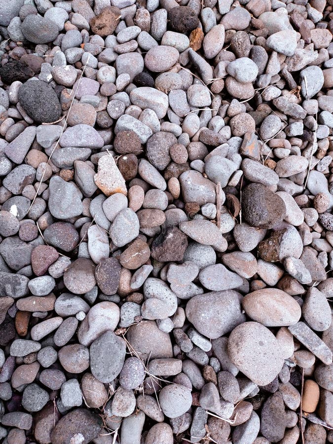 Rocks Scattered on the Ground Stock Photo - Image of backgrounds ...