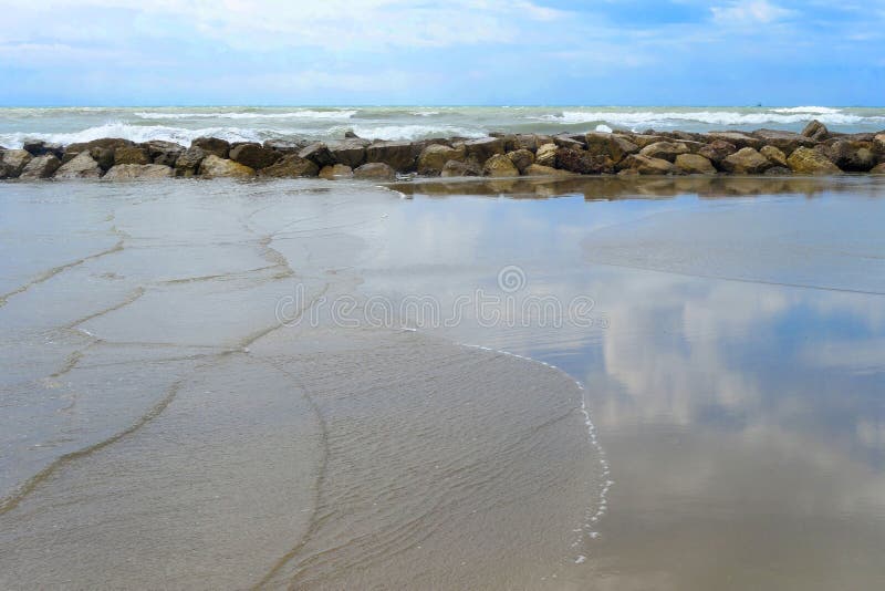 Natural Barrier Along the Nature Trail Stock Photo - Image of natural ...