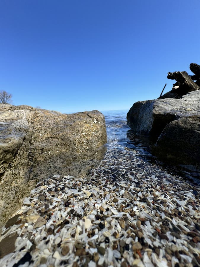 Rocks in the Sea. Tree Fragments from Water. Sea Landscape with Rocks ...