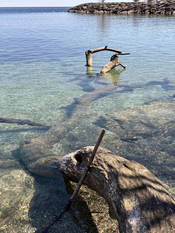 Rocks in the Sea. Tree Fragments from Water. Sea Landscape with Rocks ...