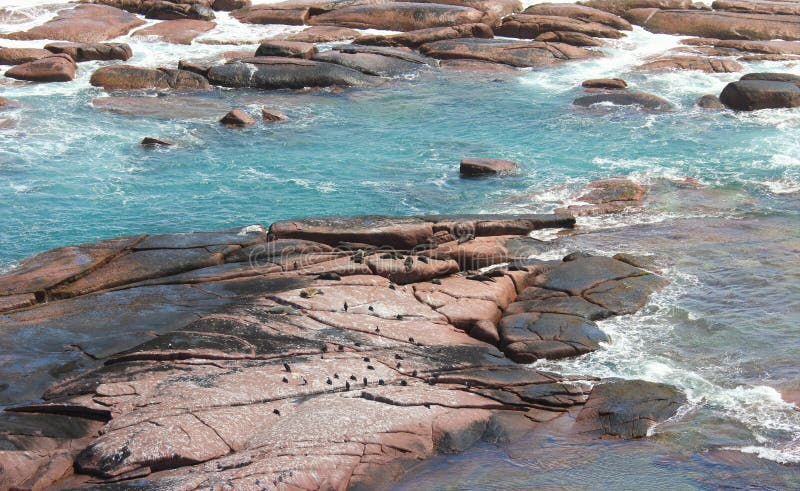 On the rocks stock photo. Image of group, cute, rock - 101026902