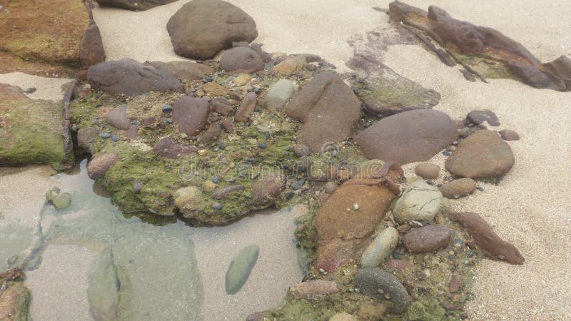 Rocks stock photo. Image of water, nature, rocks, shells - 163535922
