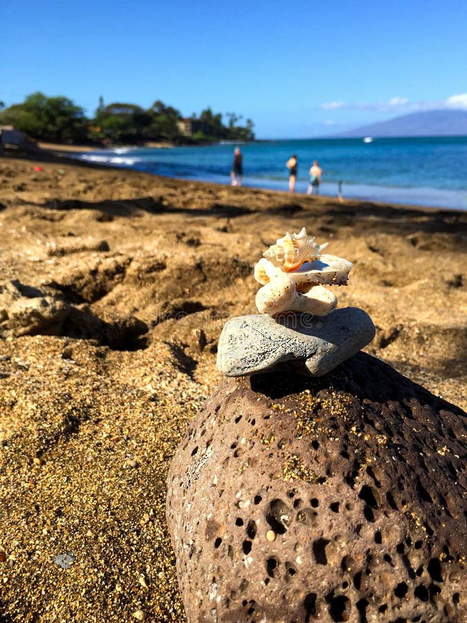 Rocks and Seashell Beach Vertical Stock Image - Image of island ...