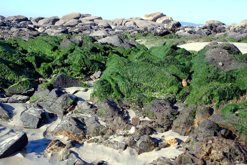 Rocks on the Seashore on the Beach Stock Image - Image of seascape ...