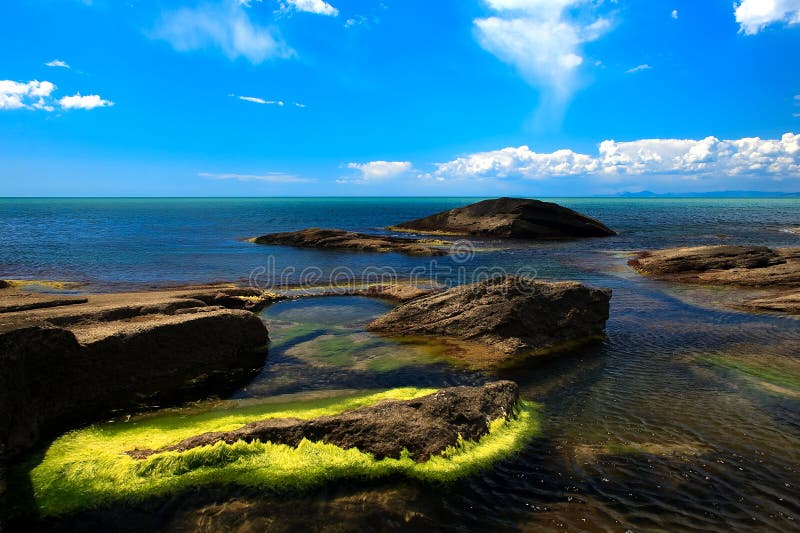Rocks on the seashore stock image. Image of seaweed, surf - 41374251