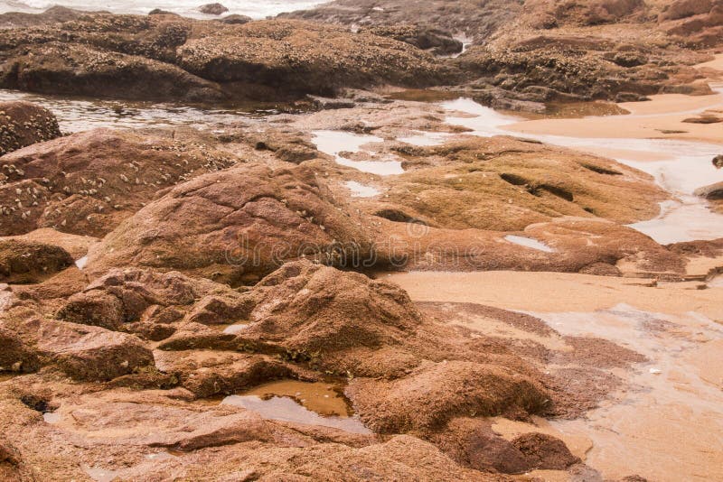 Rocks on the Seashore stock image. Image of natural - 172432635