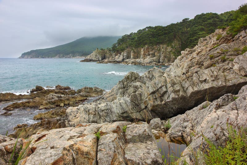 Rocks at the seaside stock image. Image of wild, crag - 49125585