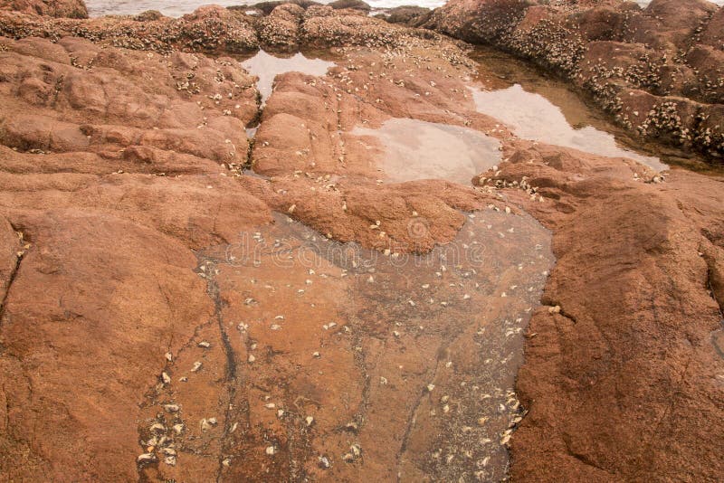 Rocks in the Shallows of the Seashore Stock Image - Image of vacation ...