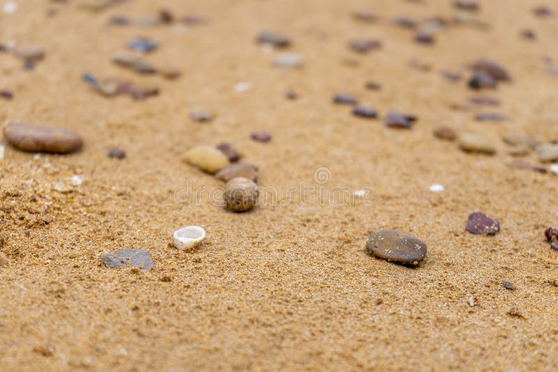 Rocks and Shells on the Beach Copyspace Stock Image - Image of abstract ...