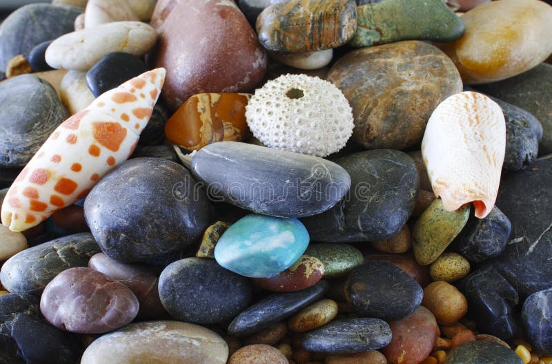 Rocks and shells stock image. Image of stone, solid, shell - 90750161