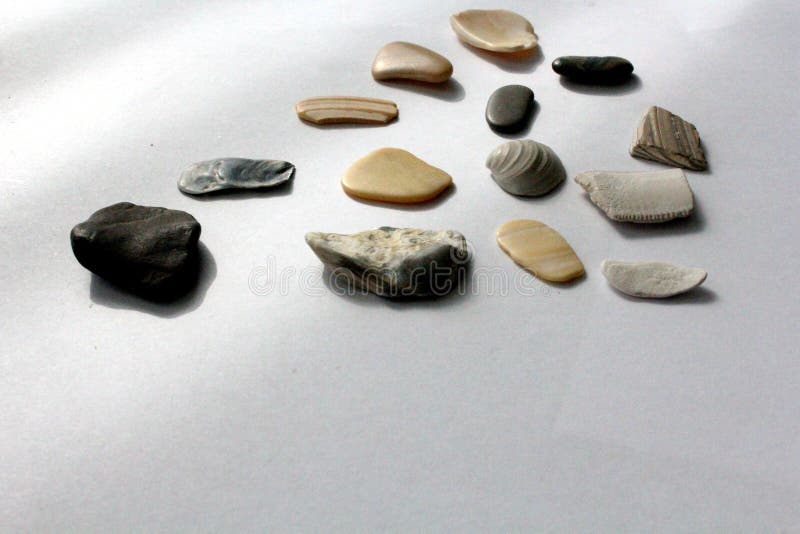 Rocks and Shells on a White Background Stock Photo - Image of stone ...