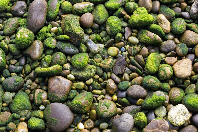Rocks on a shore stock image. Image of abstract, shore - 45600817