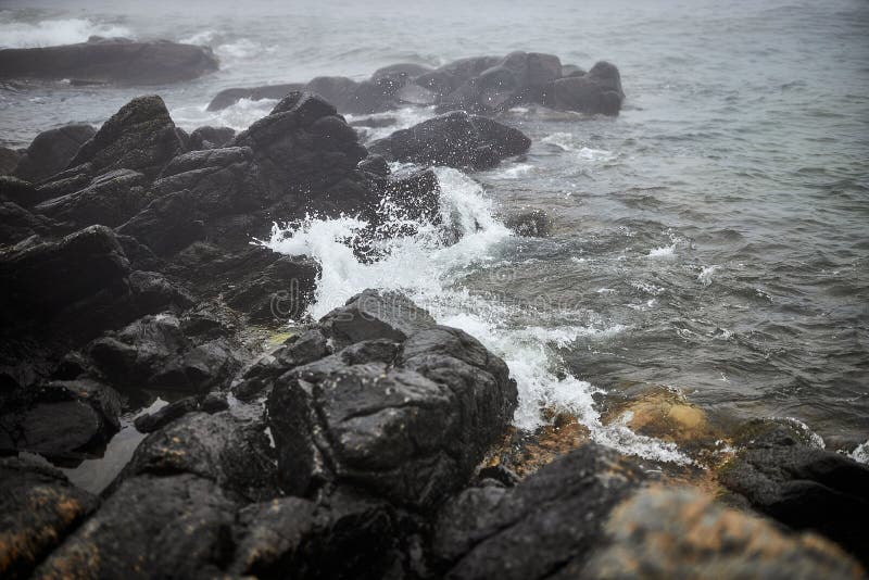 Rocks by the Shore in Island in Denmark Stock Photo - Image of ...