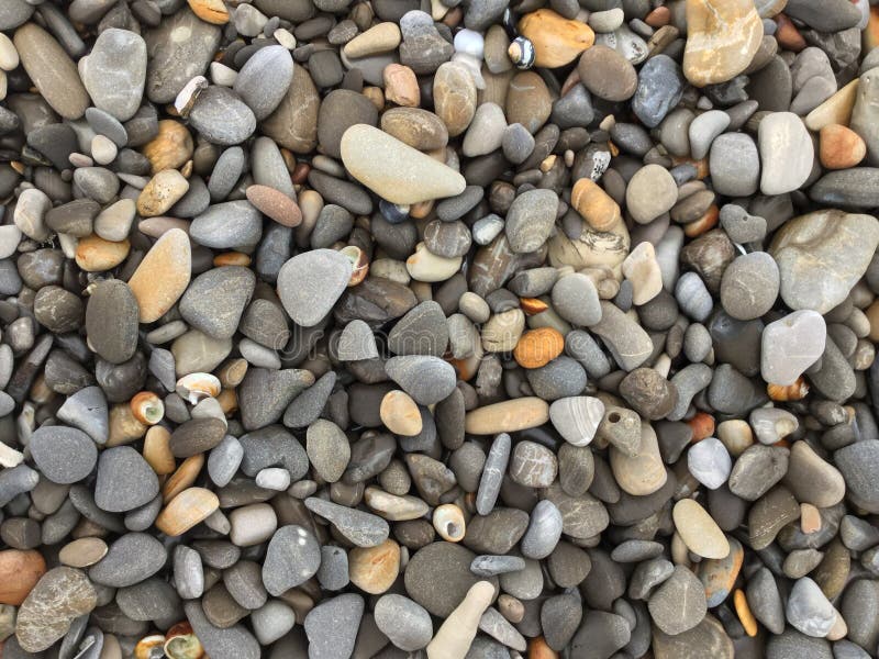 Rocksandshells Stock Photos - Free & Royalty-Free Stock Photos from ...