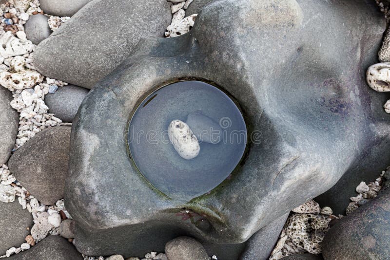 Small tide pool stock image. Image of tide, pool, natures - 55030439