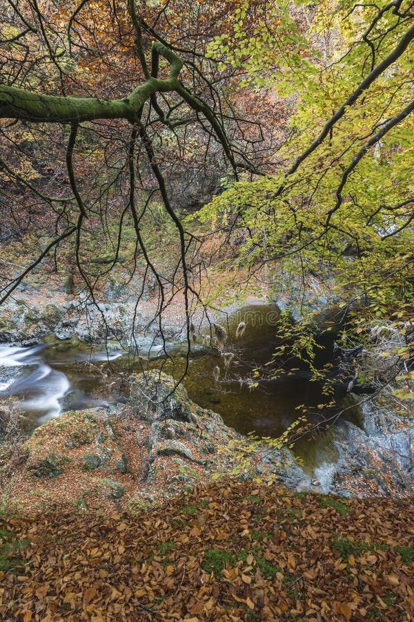 Rocks of Solitude Gorge on the North Esk River in Scotland. Stock Photo ...