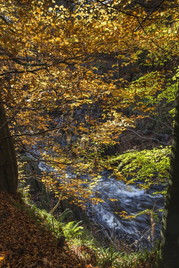 Rocks of Solitude Gorge on the North Esk River in Scotland. Stock Image ...