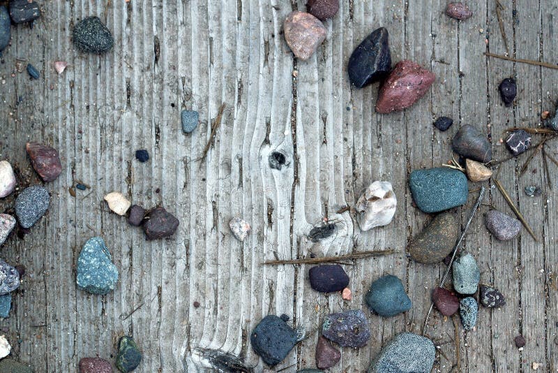 Rocks and Stones in the Wild Stock Photo - Image of wood, nature: 100151618