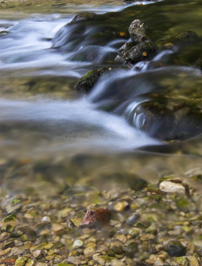 Watercress stream stock photo. Image of herb, stream - 14103084