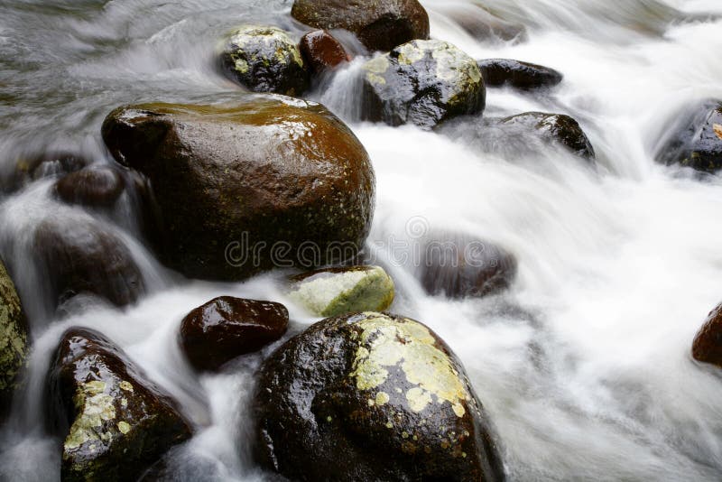 Rocks in a stream stock photo. Image of creek, mossy, colorful - 3394278