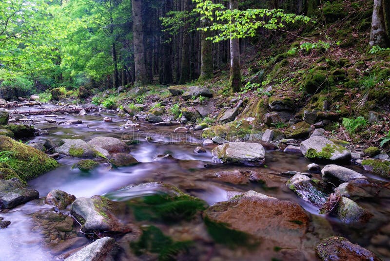 Rocks in the stream stock photo. Image of river, stone - 38671234