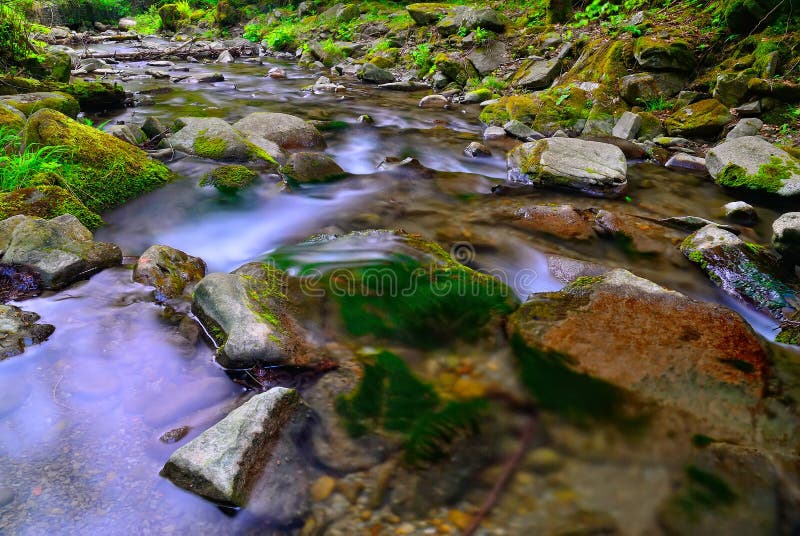 Rocks in the stream stock photo. Image of river, stone - 38671234