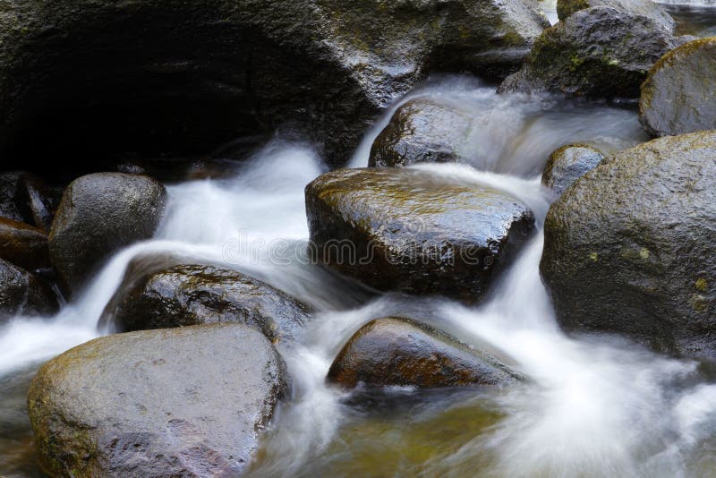 Rocks in stream stock photo. Image of fresh, freshness - 51805898