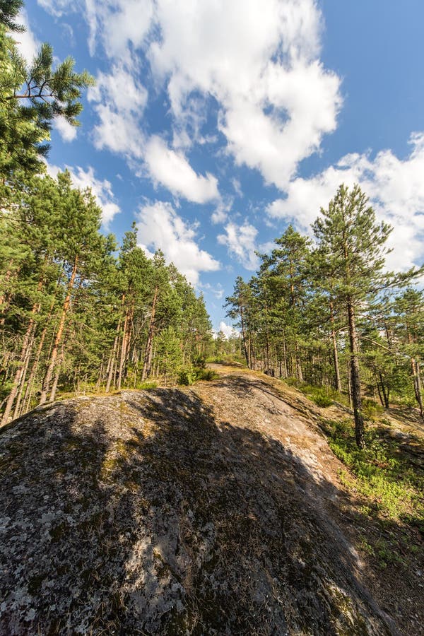 Rocks in a Sunny Summer Forest Stock Photo - Image of rocky, cloud ...