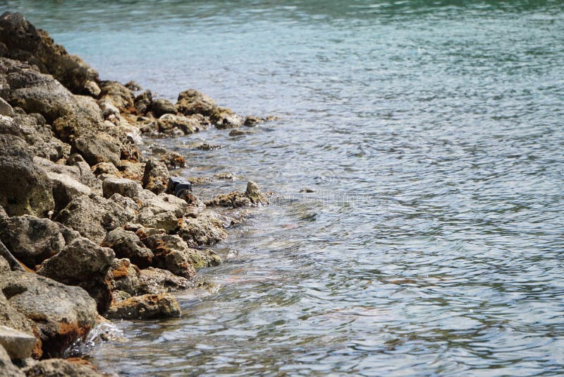 Rocks in the Sunshine on the Bay in South Florida Miami Stock Photo ...