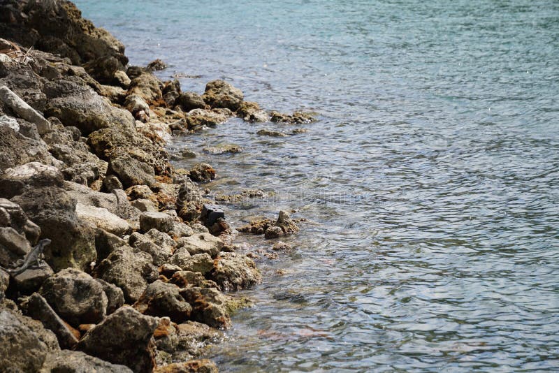 Rocks in the Sunshine on the Bay in South Florida Miami Stock Image ...