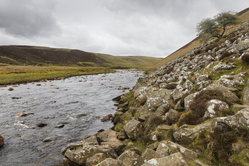 Rocks and a Tree Next To a River Stock Photo - Image of united, pennine ...