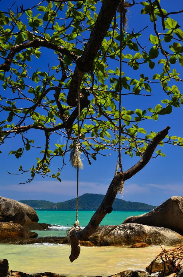 Rocks and Tree at the Sea Beach Stock Image - Image of blue, green ...